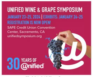 » A Look Back at the Future of Wine The Wine Economist